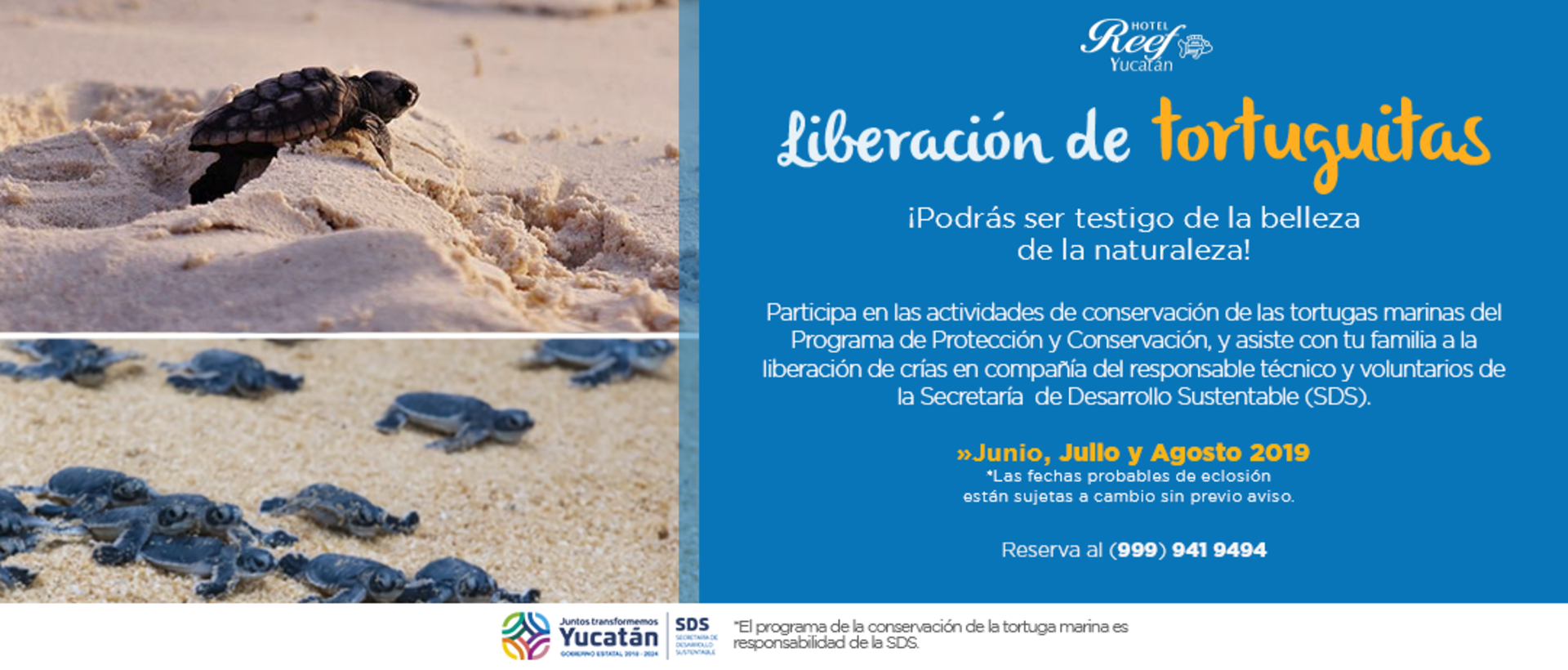 Inicio - Hotel Reef Yucatan - Telchac Puerto - México