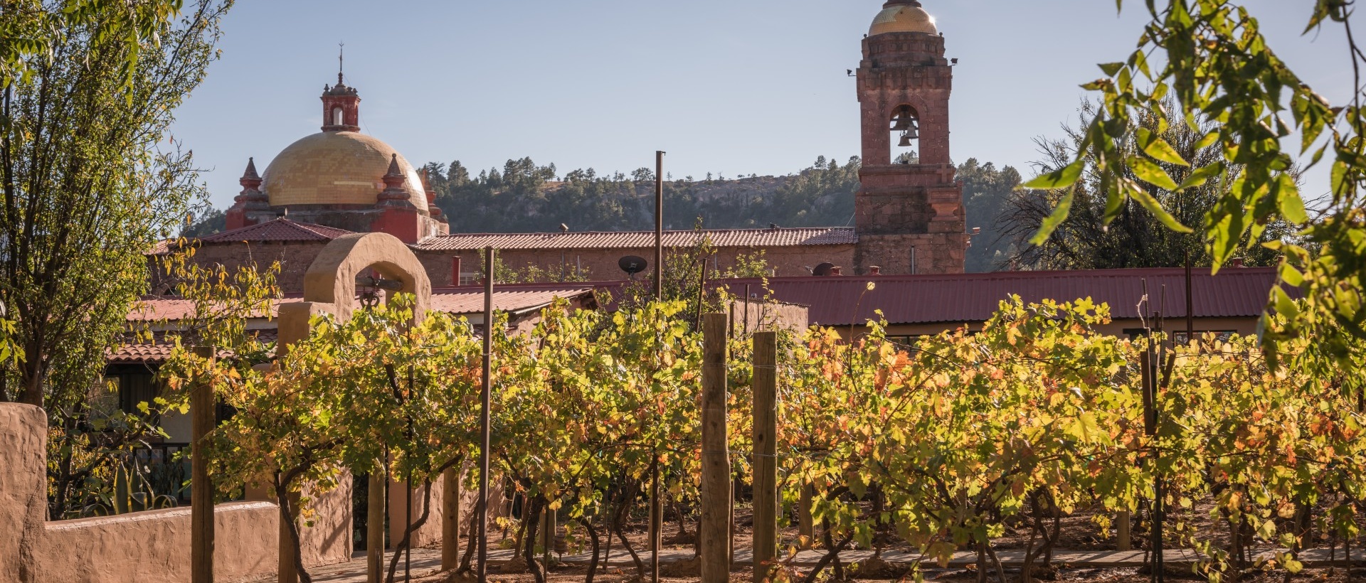 Home - Hotel Mision Cerocahui - Cerocahui - Mexico